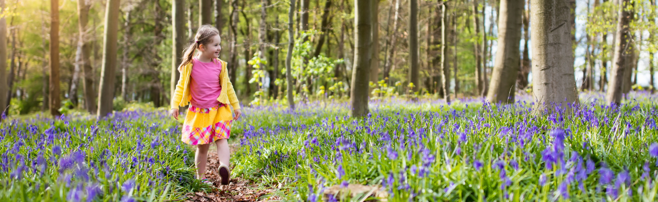 Home › Crossbridge Community Bank